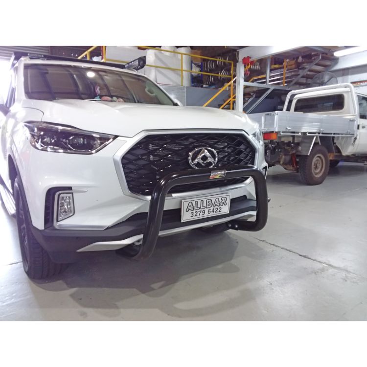 Nudge Bars Compatible with LDV – All Bars