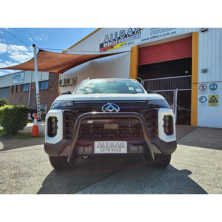 Nudge Bars Compatible with LDV – All Bars